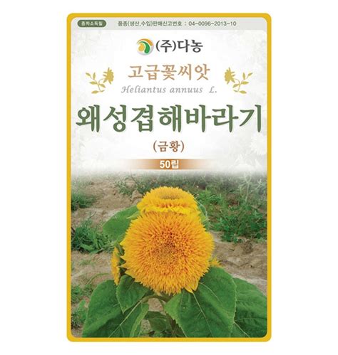 왜성겹 해바라기 50립 야생화 씨앗 꽃씨 씨 꽃씨앗 야생화씨앗 고급꽃씨 고급꽃씨앗 테디베어해바라기 만첩 티몬