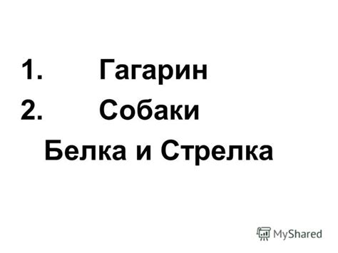 Презентация на тему Цыган и Дезик Лайка Белка и Стрелка «Звёздный час