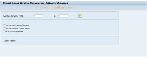 SW10 SAP Tcode Delivery Verification Transaction Code