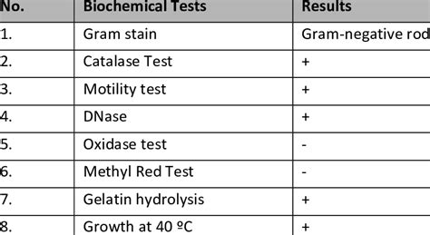 Biochemical Identification Chart