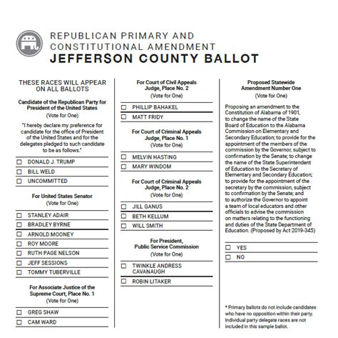 Florida Sample Ballot 2024 Leesa Nananne