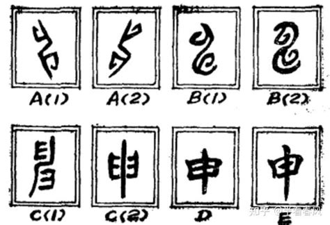 地支密码 寅申篇 知乎