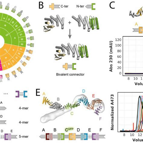 Design Of Higher Order Assemblies A Schematic Overview Of