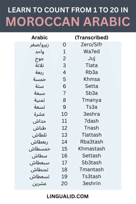 Learn How To Count In Moroccan Arabic Numbers In Darija Lingualid