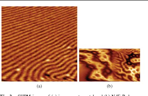 Figure 1 From Scanning Hall Probe Microscopy Shpm Using Quartz Crystal Afm Feedback Semantic