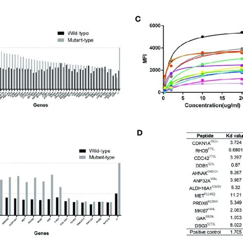 Determination Of Peptide Binding Affinity To Hla A2 A The Mean