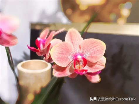 “一生二，二生三，三生万物。万物负阴而抱阳，冲气以为和”出自何处？如何理解？ 曾说的回答 头条问答