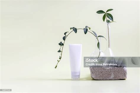 크림 튜브와 연한 녹색 배경에 대수리 나뭇가지가 있는 실험실 플라스크 개념에 대한 스톡 사진 및 기타 이미지 개념 건강