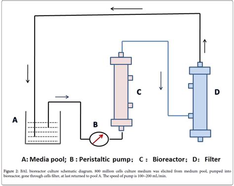 Preliminary Research Of Off Line Bioartificial Liver On Patients With