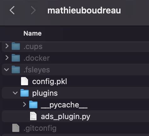 Shimming Toolbox Not Appearing In FSLeyes After Installation Shimming