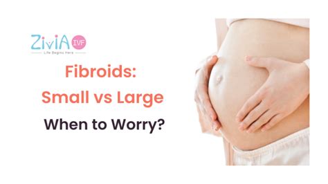 Fibroids Small Vs Large When To Worry Zivia Ivf