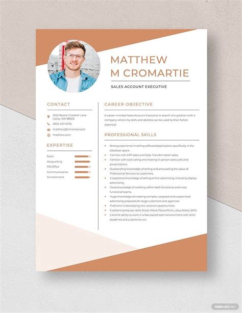 Sales Executive Resume Format In Pages Psd Publisher Word Download