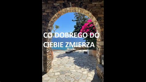 Tarot CO DOBREGO ZMIERZA DO CIEBIE YouTube