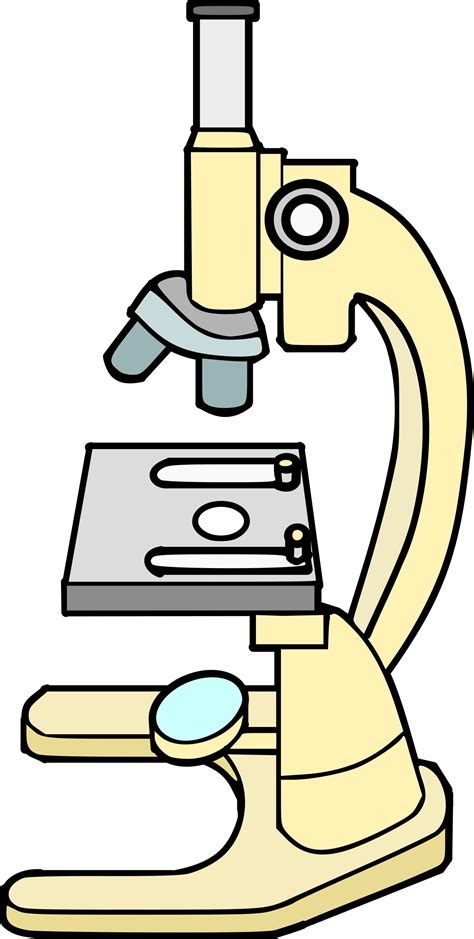 Microscopes Clipart Free Download On Clipartmag