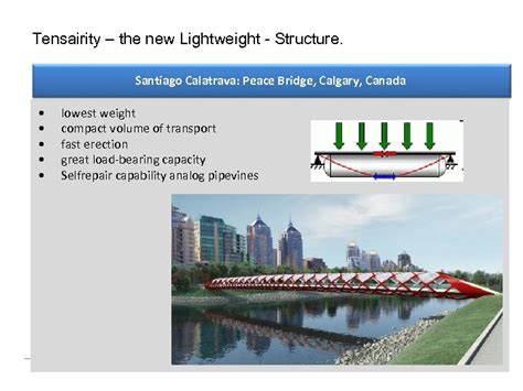 Energyefficient Architecture And Bionics What Can Architects Learn