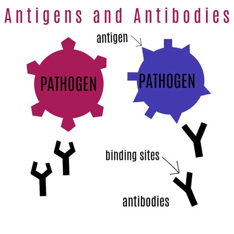 Antigens And Pathogens