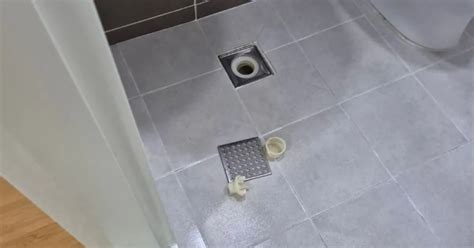 상담부터 마무리까지 깔끔하게 잘 해주셨어요 처음 해보는건데 잘 해주셨습니다 숨고 숨은고수