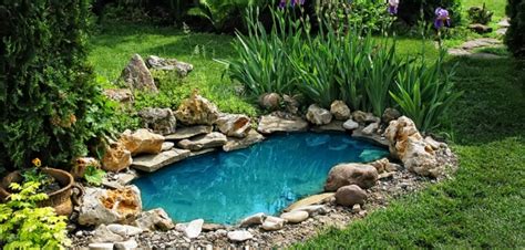 Gartenteich anlegen 5 größten Fehler beim Teichbau
