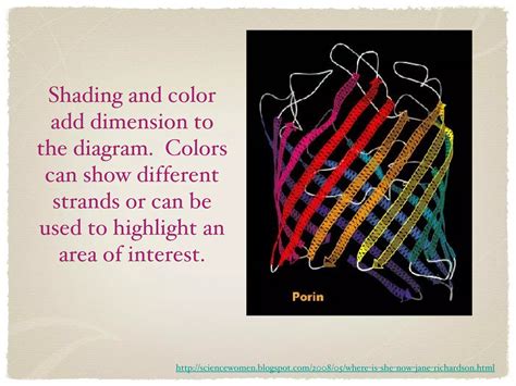 Ribbon Diagrams Ppt