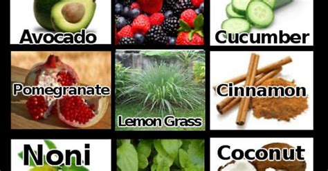 Natural Cures Not Medicine Album On Imgur