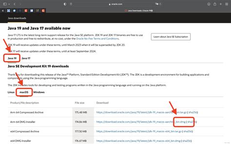 Mac 安装JDK mac下载jdk arm 和 下载哪个 CSDN博客