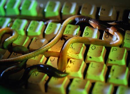 How The Hell Should I Know Computer Worm Unleashed On World By US