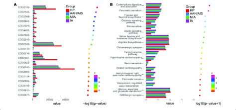 Cog Pathway And Kegg Analysis In The Four Groups A The Relative