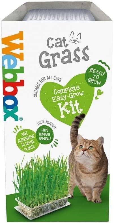 Howsehold Cat Grass Kit For Indoor Cats 6 Pack Webbox Cat Grass