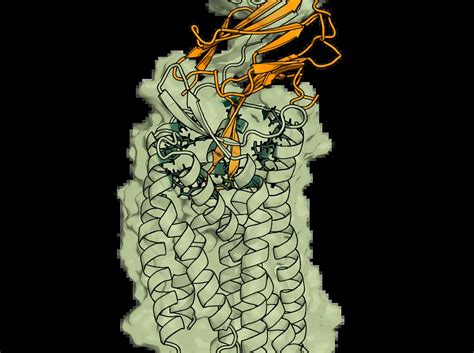 An AI Driven Breakthrough In De Novo Antibody Design Radical Ventures