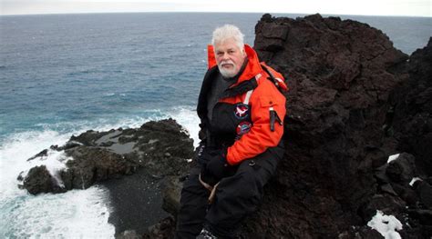 Paul Watson Y Su Lucha Titánica En Defensa De Las Ballenas Aproa