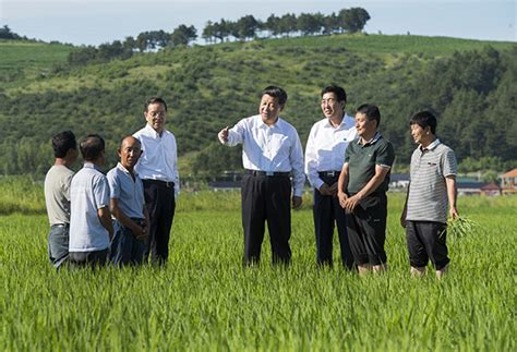 习近平在吉林调研 央广网