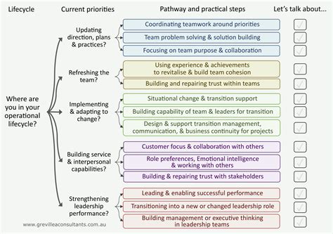 Orgnisational Development Decision Tree For Leaders