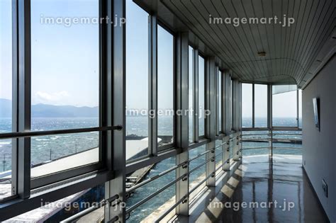 静岡県沼津港びゅうお内観から快晴の海と空の写真素材 271309899 イメージマート