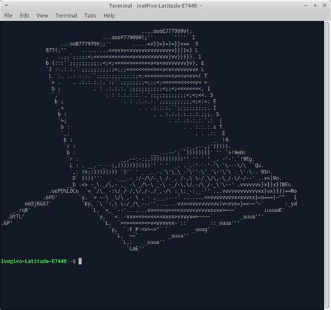 C Mo Mostrar Arte Ascii Aleatorio En La Terminal