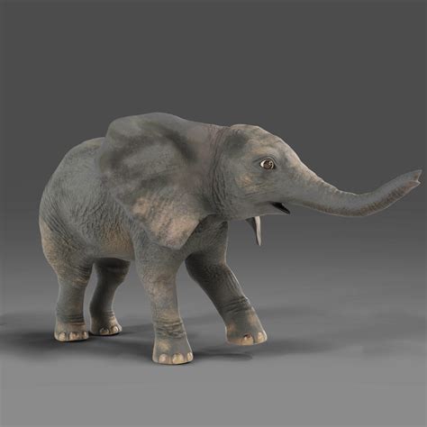 Baby Elephant Rigged And Animation Unity 3D Model TurboSquid 2013772