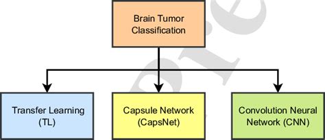 The Tree Diagram Of Related Works For Brain Tumor Classification Download Scientific Diagram
