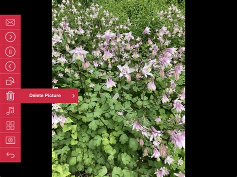 How To Delete Photos From A Digital Photo Frame In 5 Steps Pix Star Blog