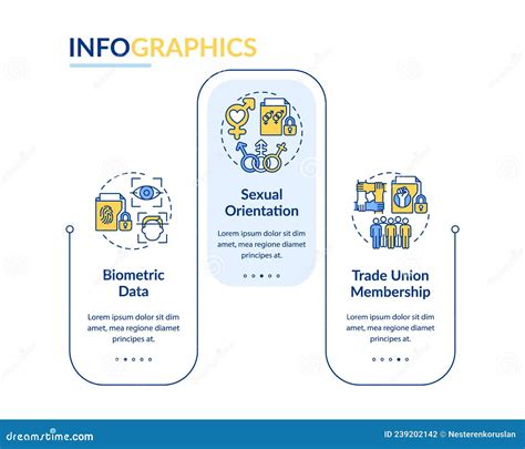 Examples Of Personal Data Rectangle Infographic Template Stock Vector
