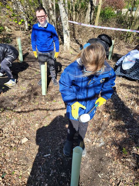 Newtongrange Primary Have Been Planting Trees At The Mining Museum