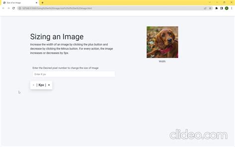 rakesh penugonda on linkedin html css js