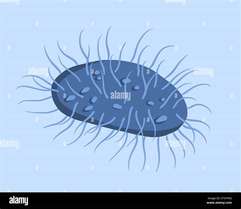 Klebsiella Granulomatis Banque Dimages Vectorielles Alamy