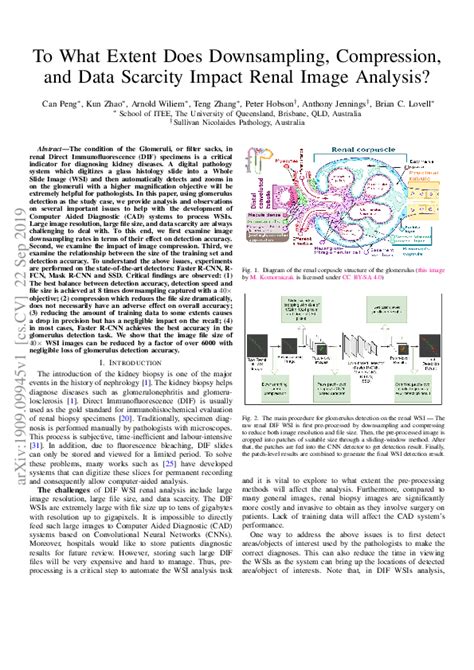 pdf to what extent does downsampling compression and data scarcity