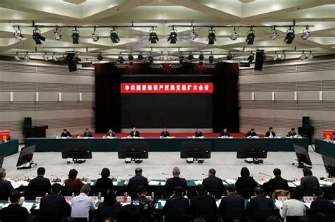 首页 中国知识产权研究会