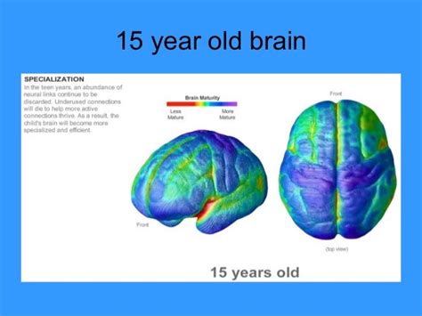 The Adolescent Brain Presentation Module 3