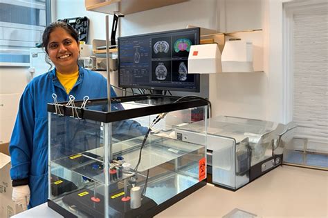Bioengineering Masters Ms Degree Northeastern University