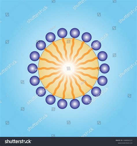 Emulsifier Structure Emulsion Types Mixture Two Stock Vector Royalty Free 2266563127
