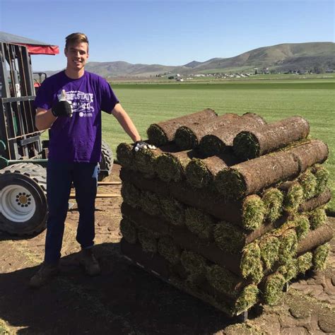 Ky Bluegrass Sod In Utah Idaho And More Hobbs Turf Farms