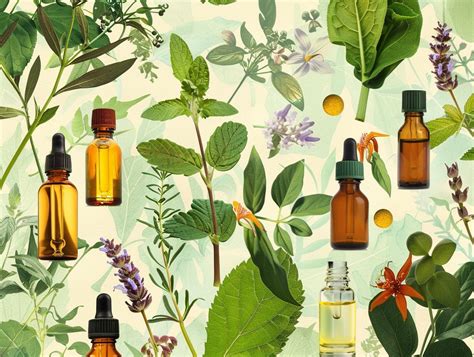 How Much Essential Oils To Add To Soap Oil Therapy Central