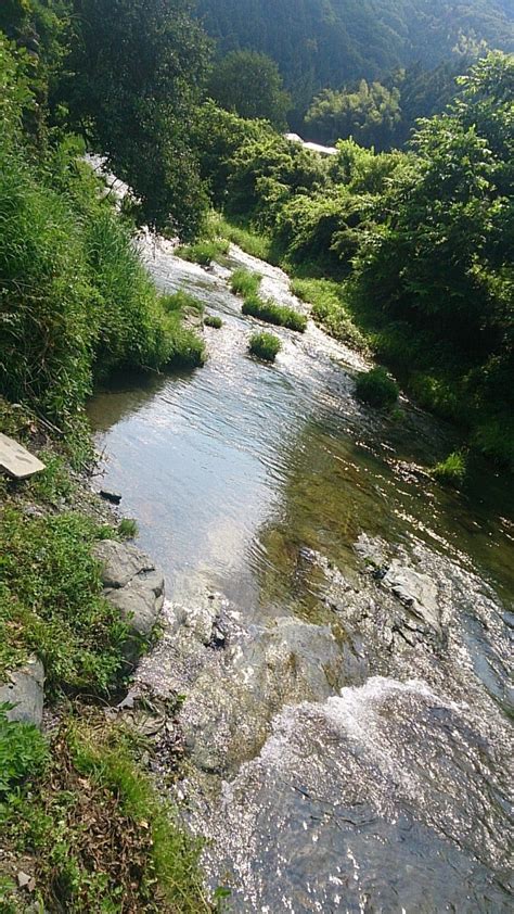 埼玉県東秩父村 透明度の高い槻川で川遊び コドモモオトナモ