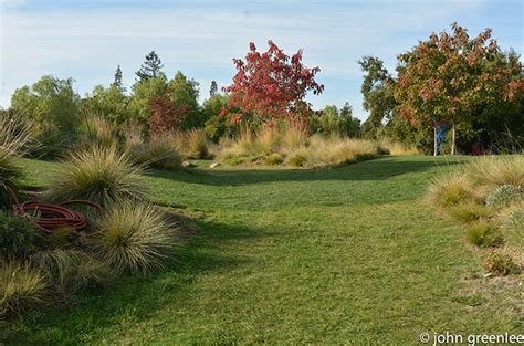 Ornamental Grasses An Overview With John Greenlee Joe Gardener®